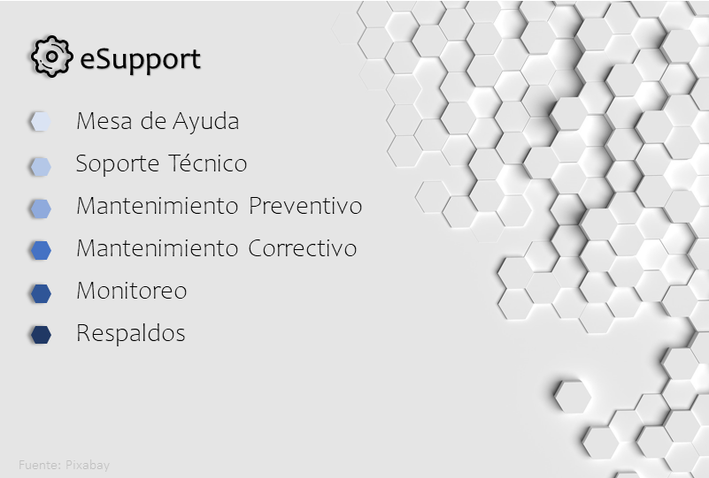 eSupport